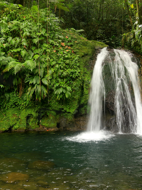Croisière Scarborough/ Tobago: promos et ports | Costa Croisières